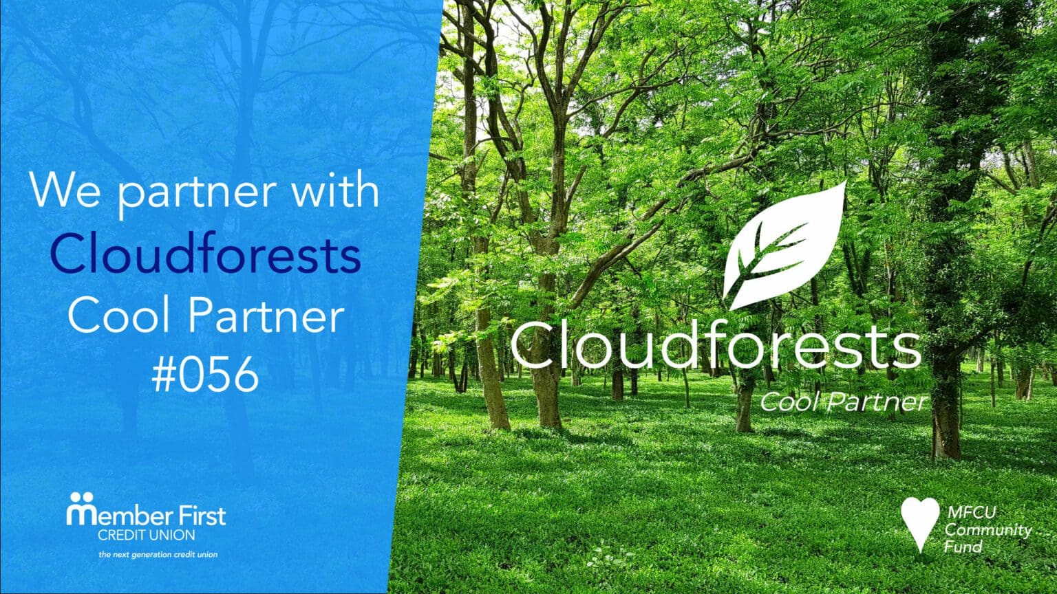 Member First Credit Union plants trees with Cloudforests